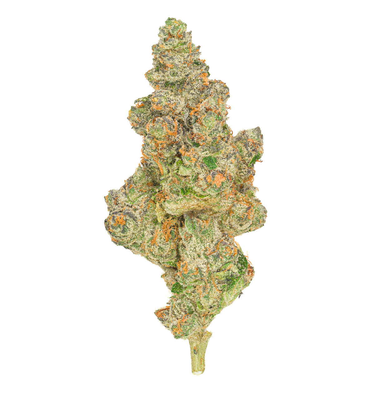 LAB-DFTB-24003 – 5g – Aurora